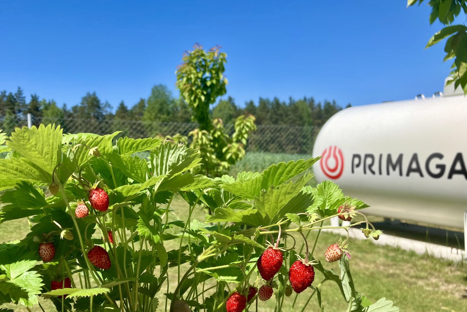 Váš dodavatel plynu | Šetrné a dostupné LPG | PRIMAGAS